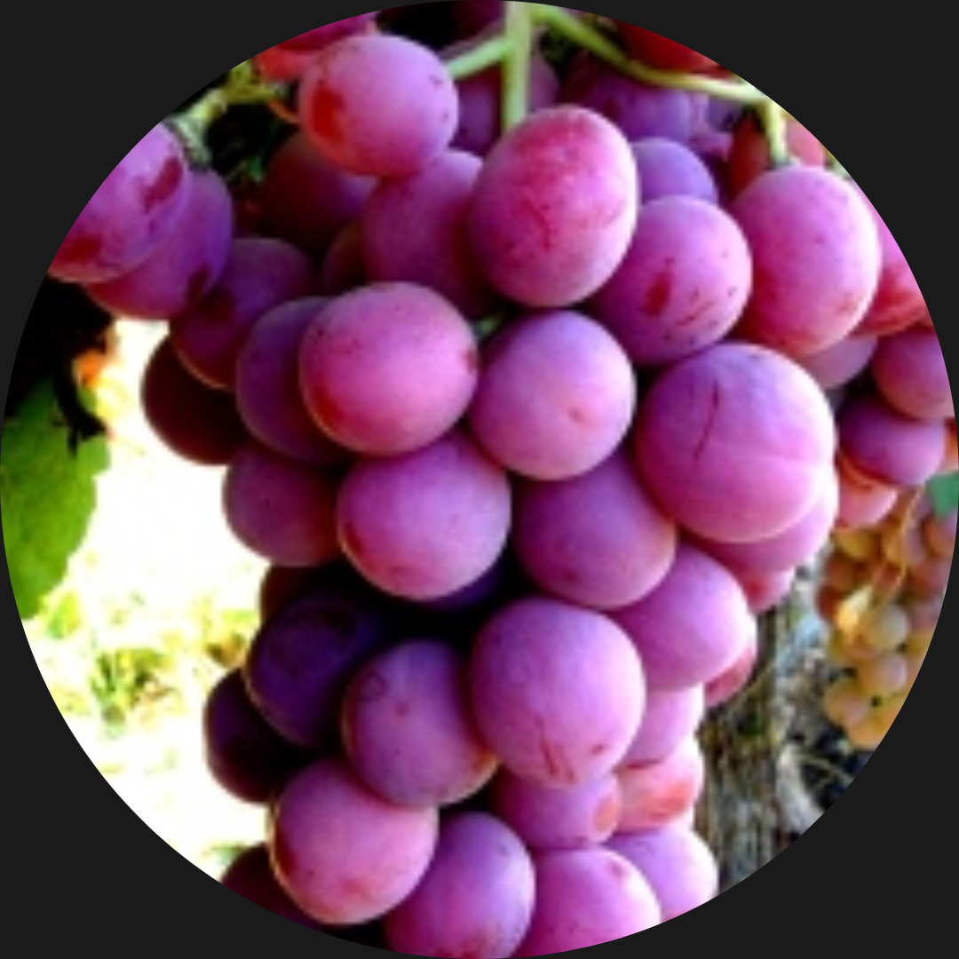 RED SEEDLESS GRAPES ORGANIC – Fill Good Bulk Foods