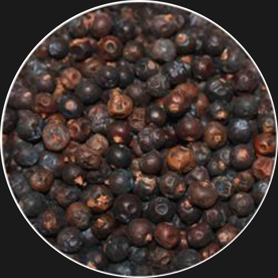 JUNIPER BERRIES – Fill Good Bulk Foods