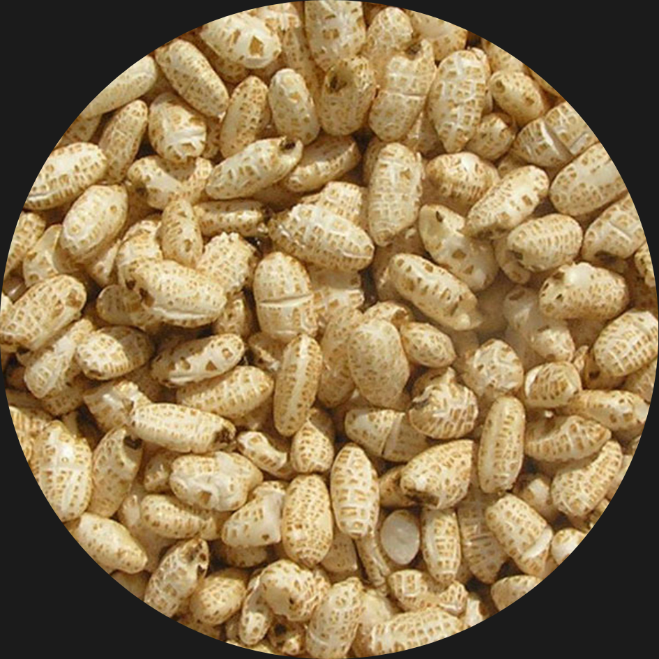 BROWN RICE ORGANIC PUFFED – Fill Good Bulk Foods